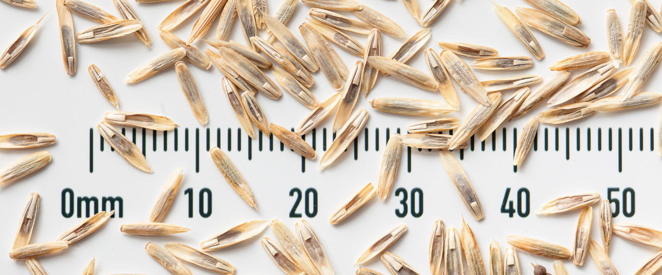 Seed Terminator Target Weed Species